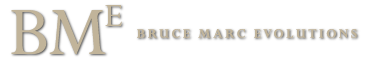 Bruce Marc Evolutions | Interior Design & Decorative Art | Boston, MA